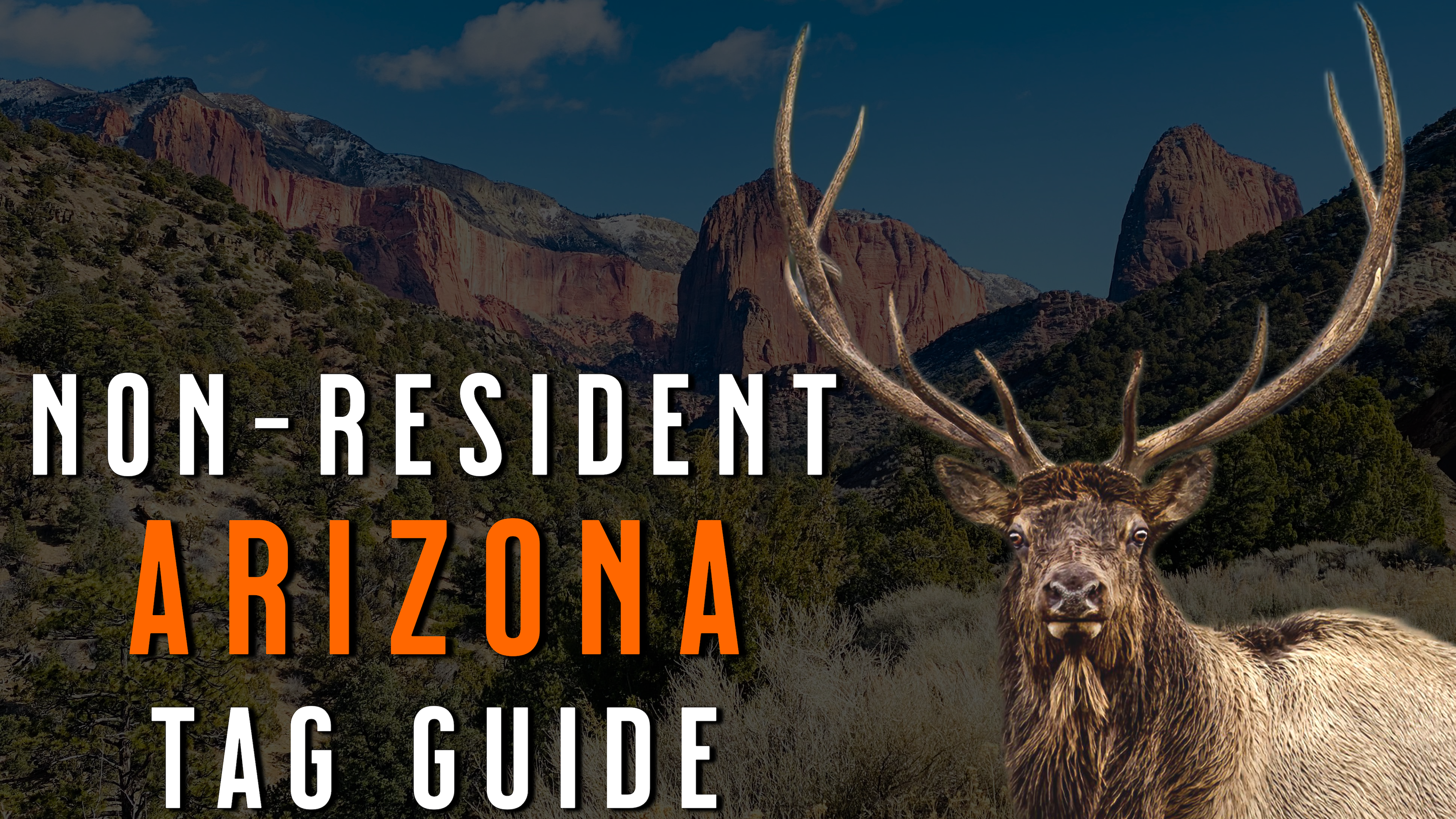 ARIZONA Big Game Draw 2026 | How NON-RESIDENTS Apply for Elk, Mule Dee ...