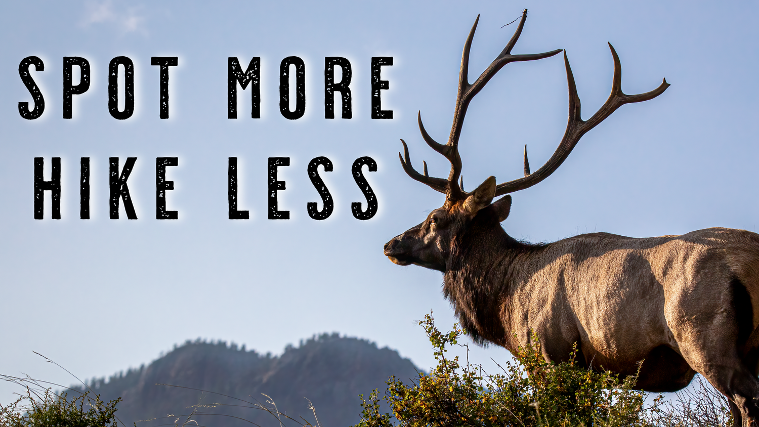 How to Glass for Elk and Mule Deer - Hunting Tips and Tactics ...