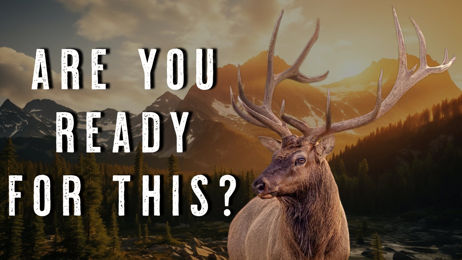 How to Hunt Alone - Solo Backcountry Mule Deer and Elk Hunting Tips ...