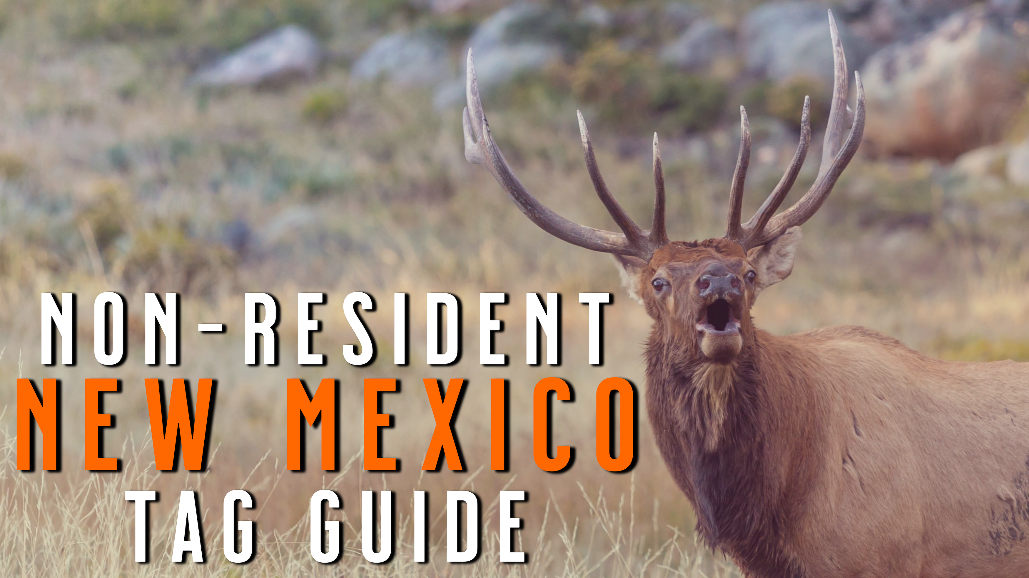NEW MEXICO Big Game Draw 2026 | How NON-RESIDENTS Apply for Elk, Mule ...