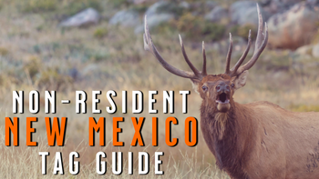NEW MEXICO Big Game Draw 2026 | How NON-RESIDENTS Apply for Elk, Mule ...